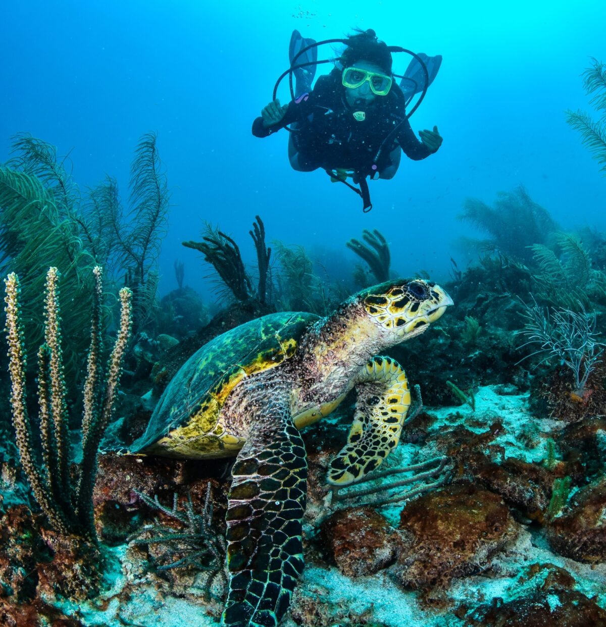 ¿Cuánto cuesta ir a Los Roques 2022? - Los Roques 360